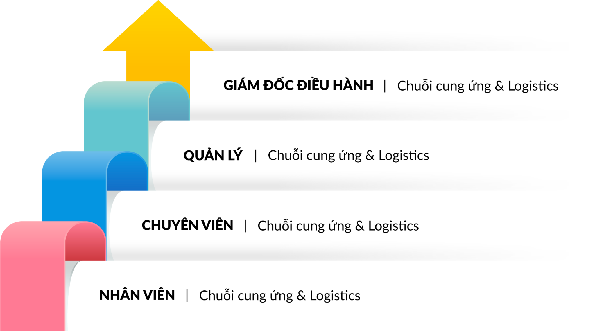 ESSENTIALS OF DISTRIBUTION & LOGISTICS - VTC Academy